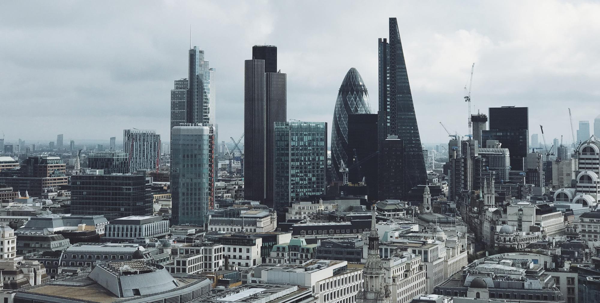 skyline-grey_crop - London Wall Risk Management Ltd
